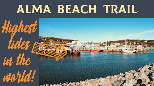 Alma Beach Trail (& BOARDWALK!) - Fundy National Park – Outdoors ...